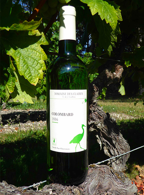 Colombard Blanc Epuisé | Domaine des Claires